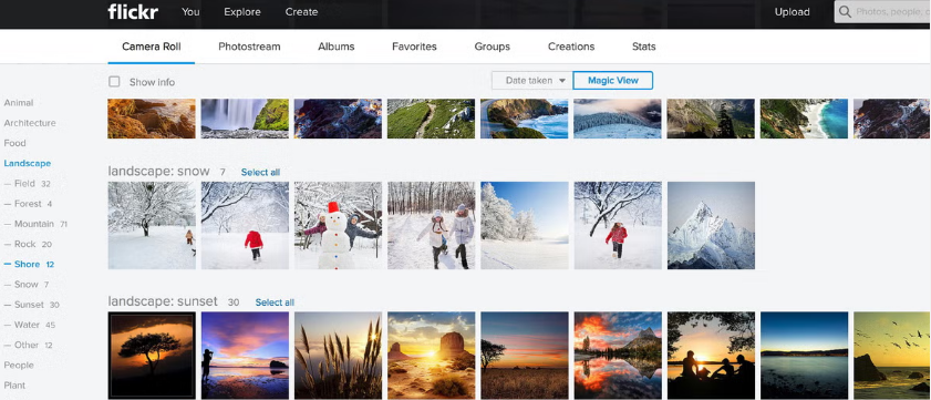 Yandex Images - Tips, Pros, Cons and Alternatives
